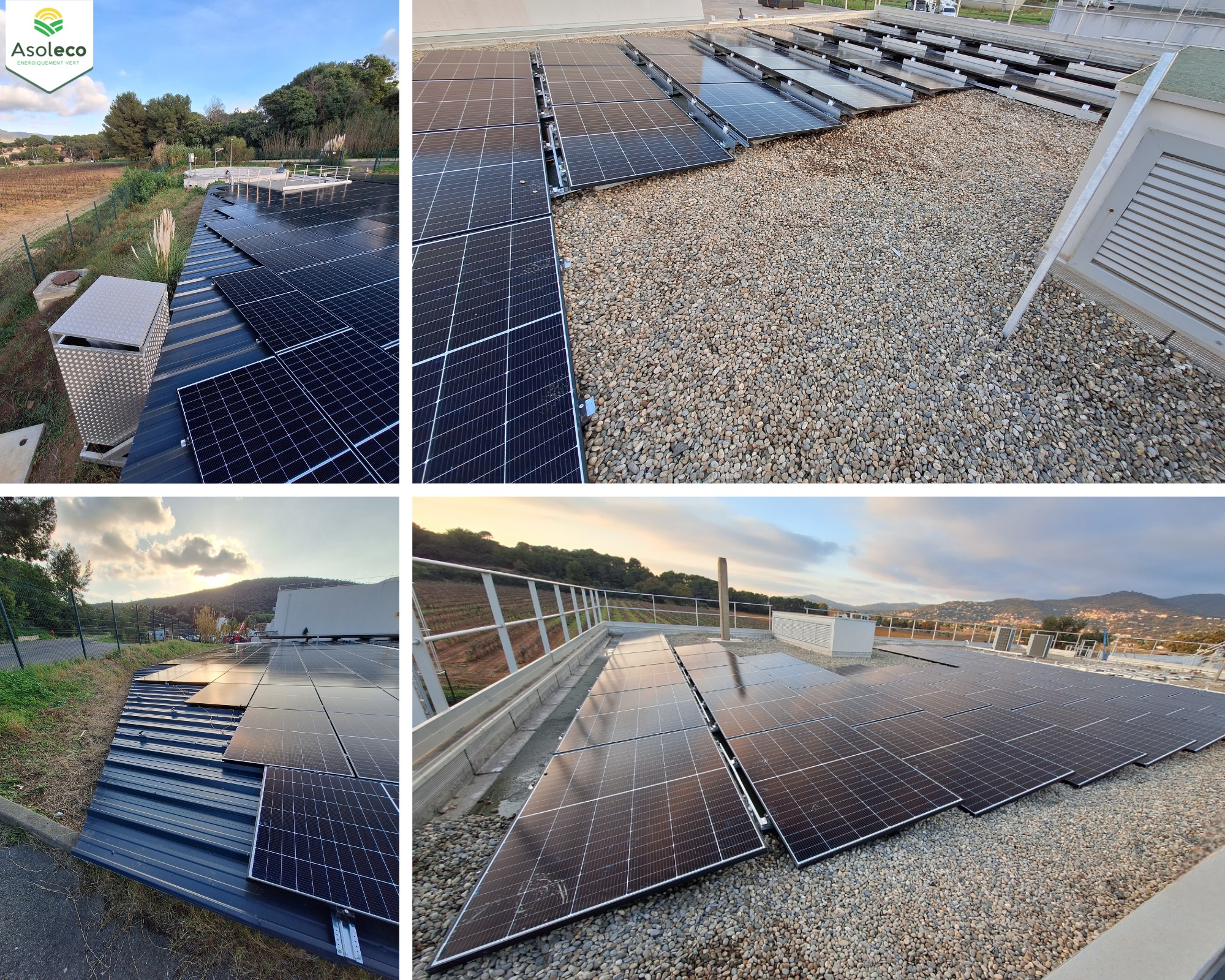 Asoleco • Infocob WEB